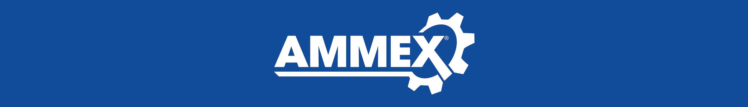 AMMEX — The Power Tool Store